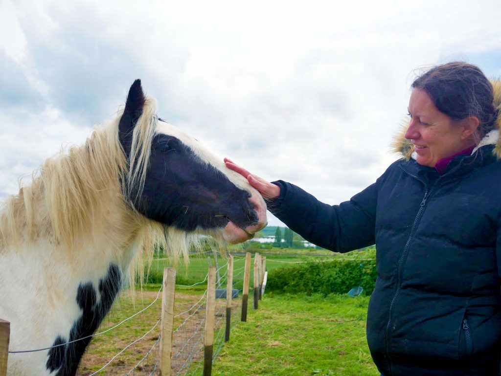 Maypole Farm - Animal Assisted Therapy & Learning - Tuition Extra